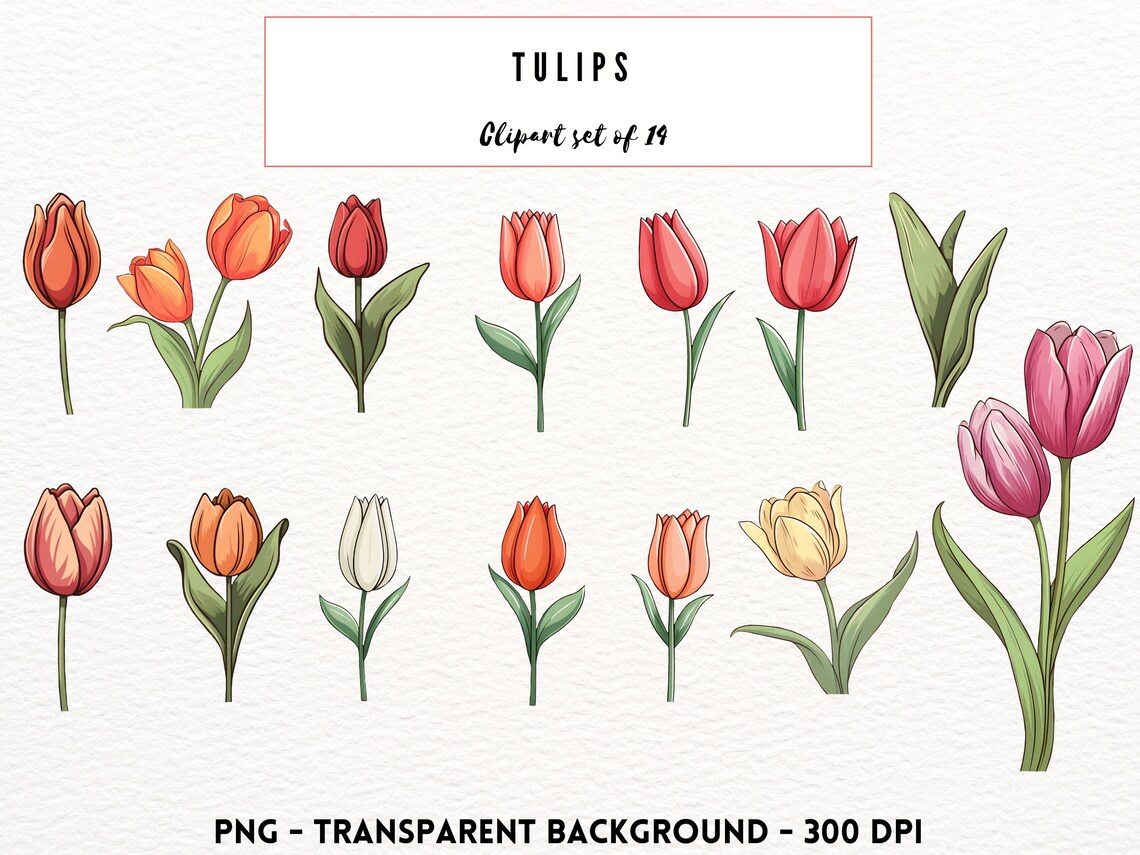 Tulips Flowers Clipart Set Colorful Floral Clipart Sublimation Flowers ...