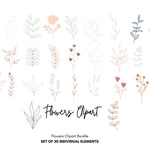 Flowers Clipart Bundle Flowers PNG Hand Drawn Floral Clipart ...