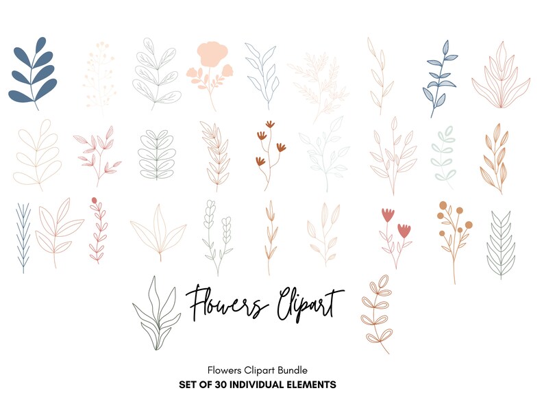 Flowers Clipart Bundle Flowers PNG Hand Drawn Floral Clipart ...