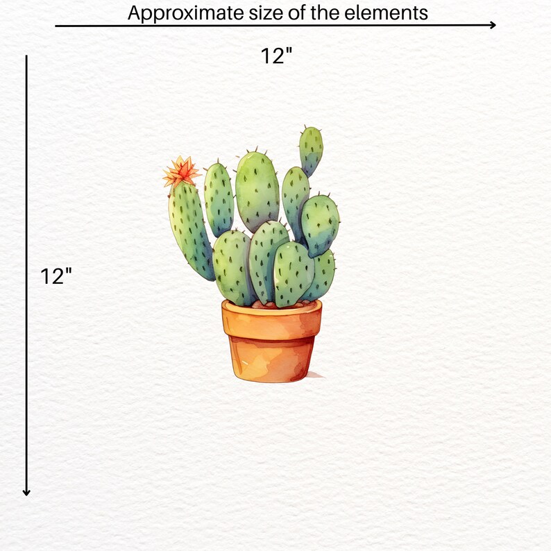Watercolor Cactus Clipart Succulent Clipart PNG Cacti Clip Art Home ...