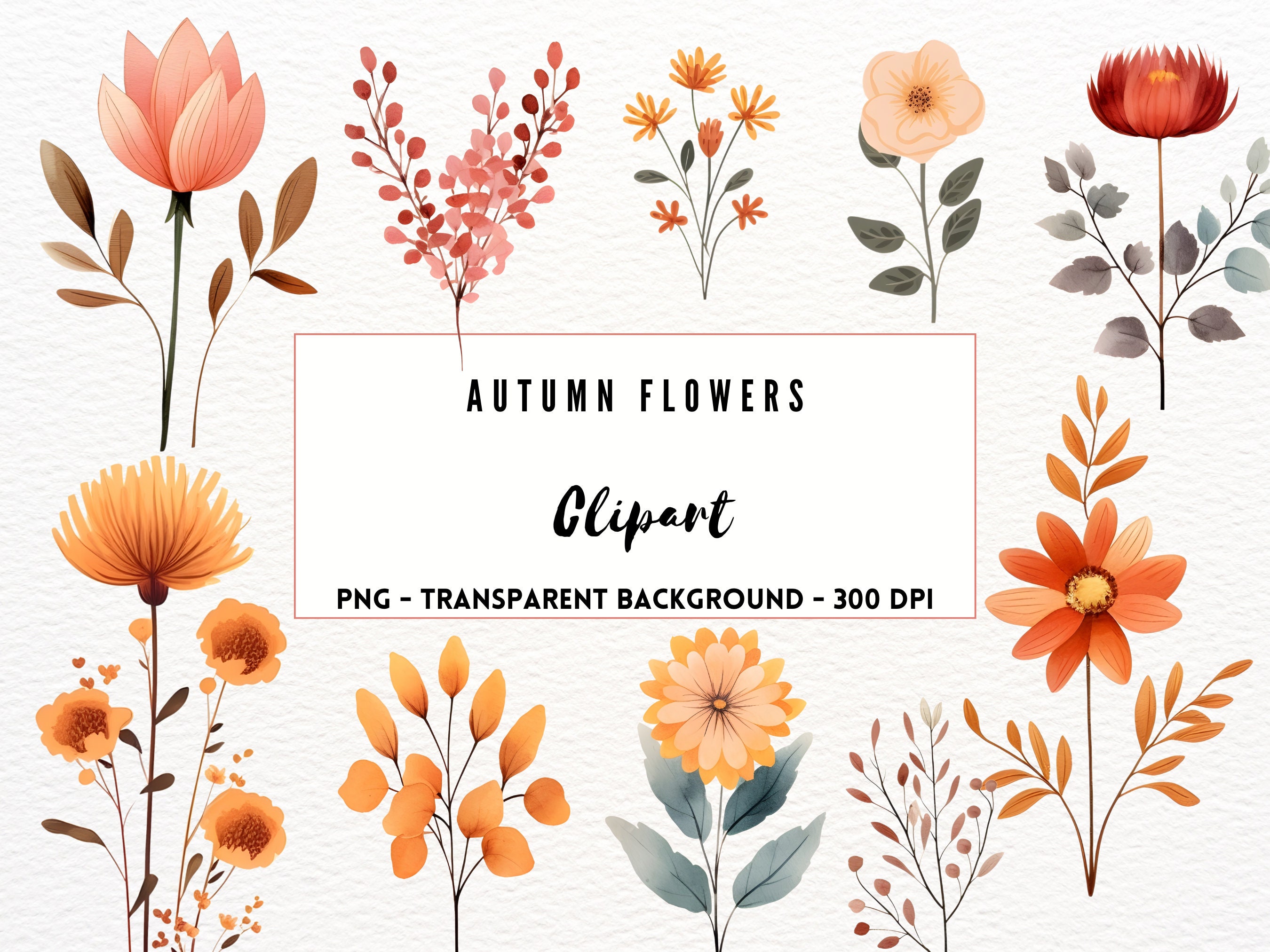 Autumn Flowers Clipart Bundle Fall Clipart PNG Floral Clipart - Etsy