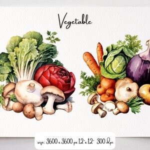 Garden Vegetables PNG Bundle, Vegetables Clipart, Nature PNG Farm ...