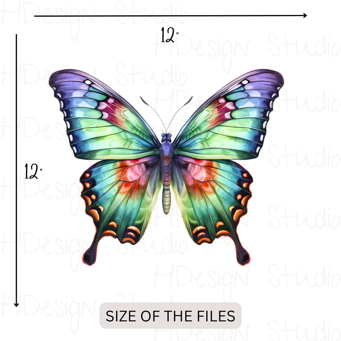 Rainbow Butterfly Clipart, Butterfly PNG, High Quality Butterfly Clip ...