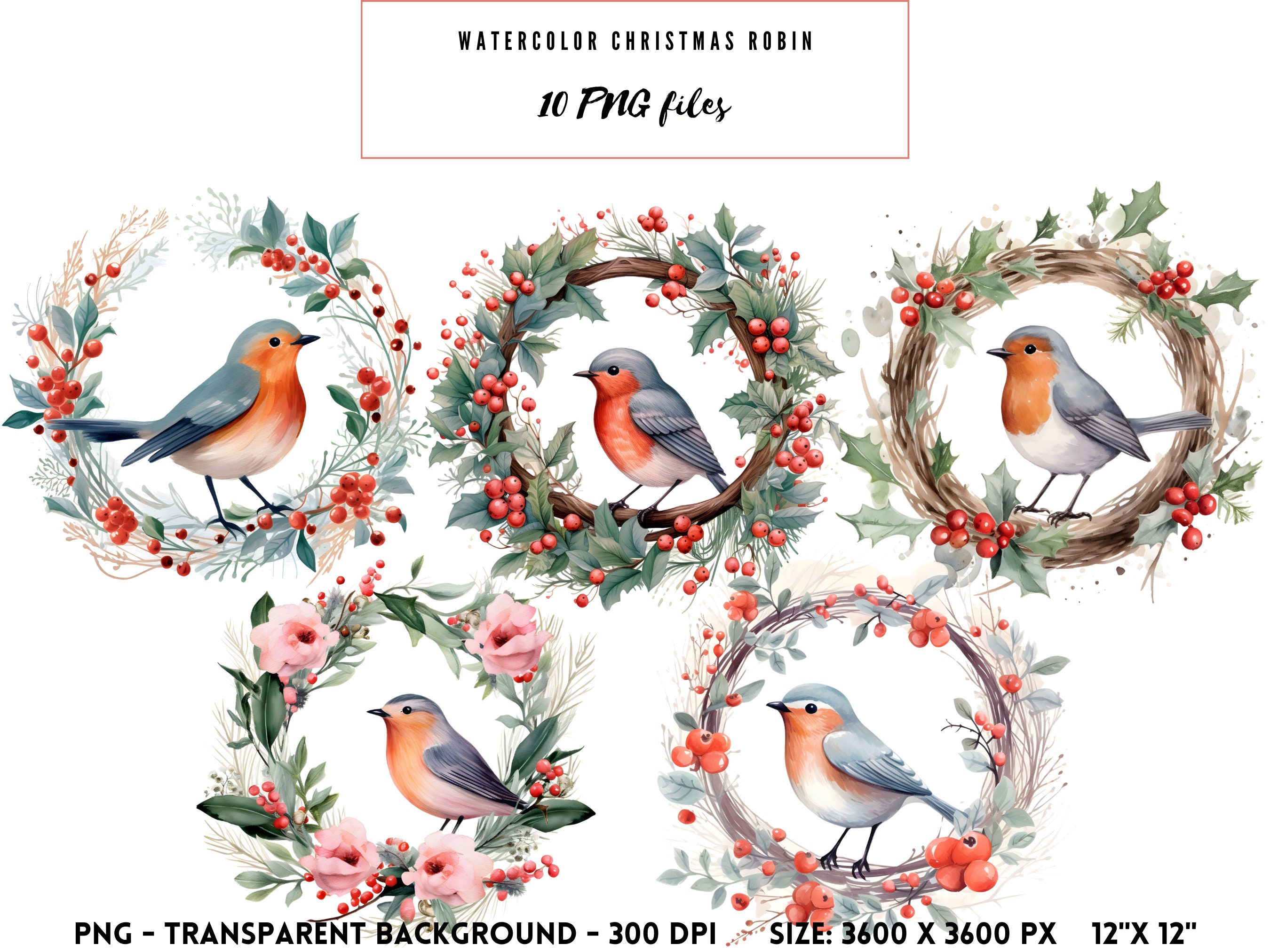 Robin Christmas, Robin PNG Clipart, Bird Robin, 10 High Quality Clipart ...