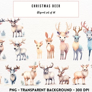 Christmas Deer Clipart Watercolor Christmas Deer Png Woodland - Etsy