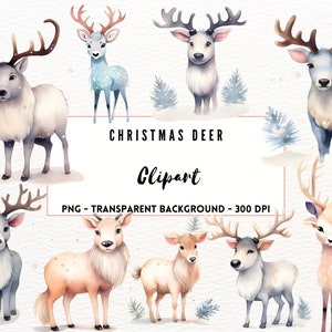 Christmas Deer Clipart Watercolor Christmas Deer Png Woodland - Etsy