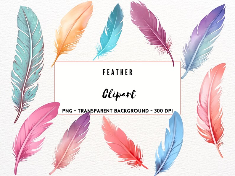 Feather Clipart Feather PNG Colorful Feathers Clipart Feather Printable Boho Plumes Clipart Bird ...