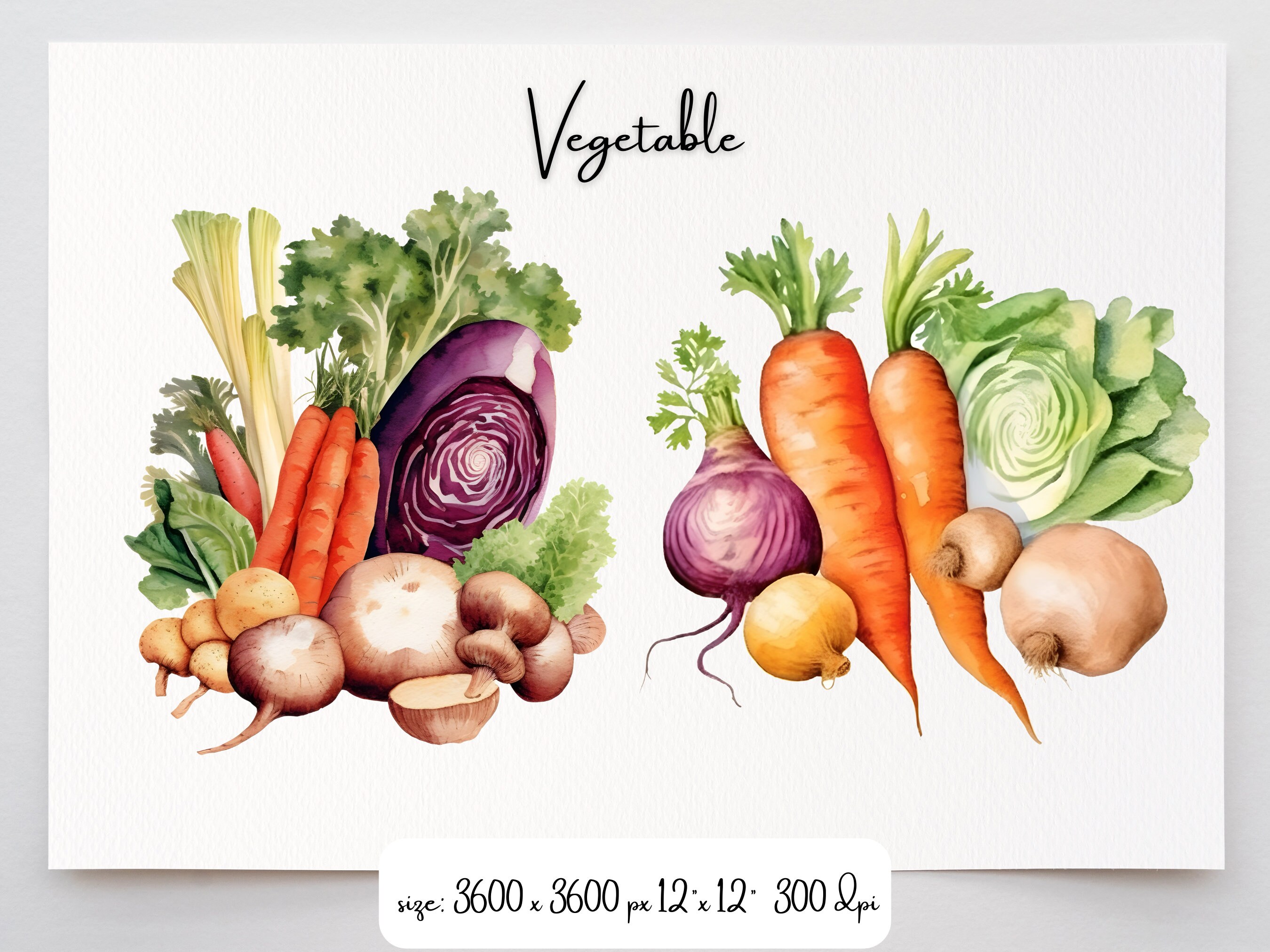 Garden Vegetables PNG Bundle, Vegetables Clipart, Nature PNG Farm ...