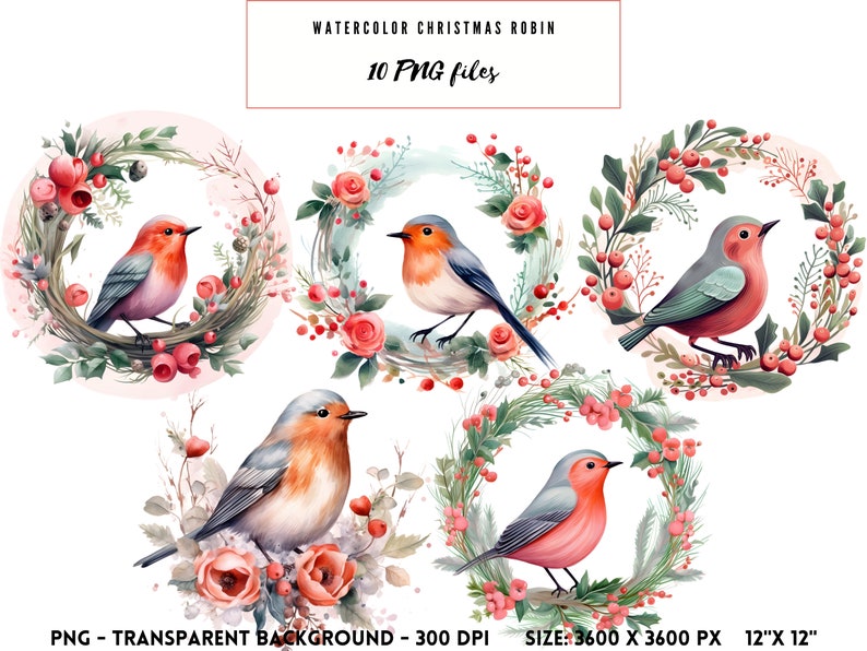 Robin Christmas, Robin PNG Clipart, Bird Robin, 10 High Quality Clipart ...