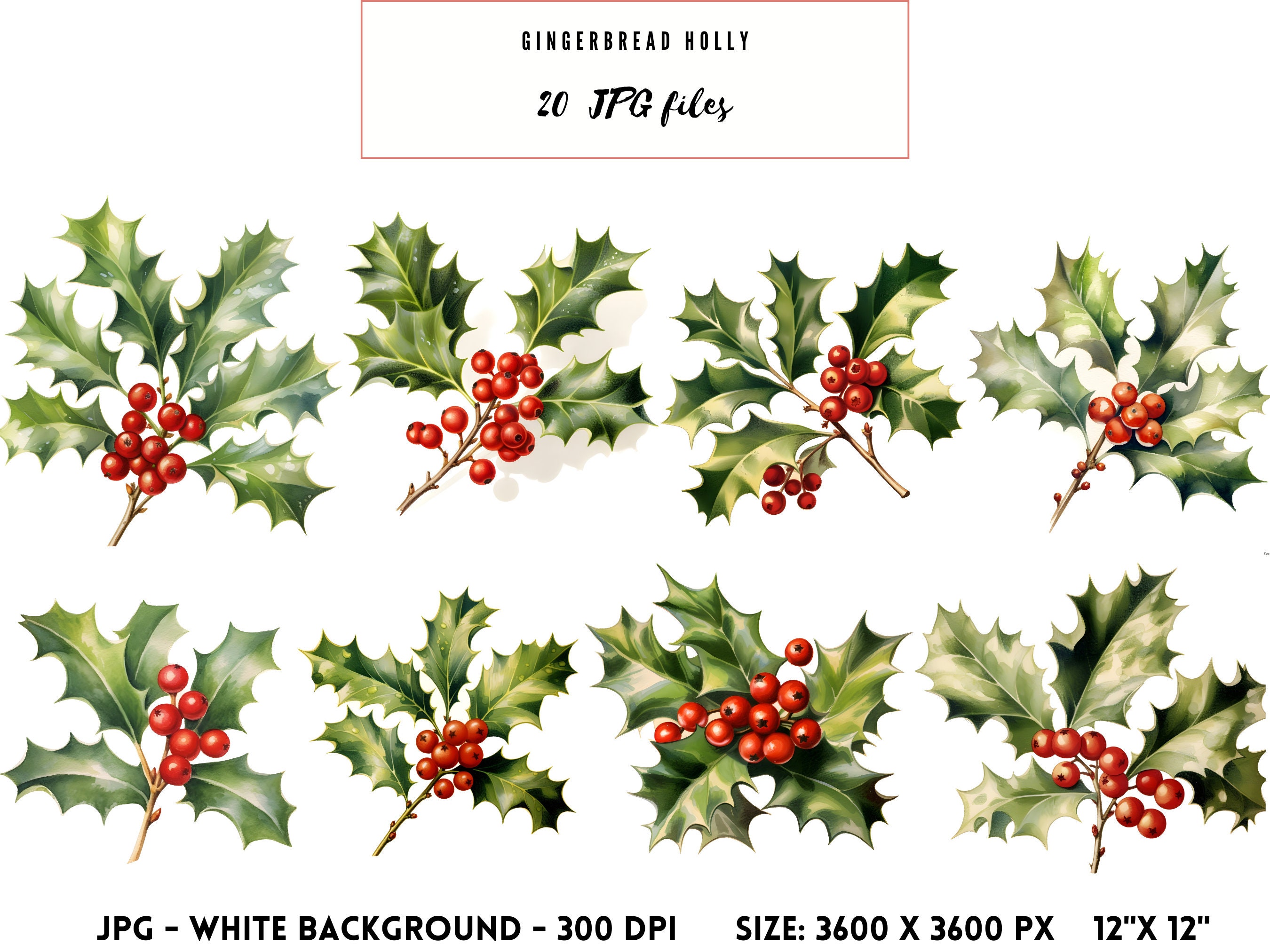 Christmas Clipart, Christmas Holly Clipart, Christmas Holly Wall Art ...