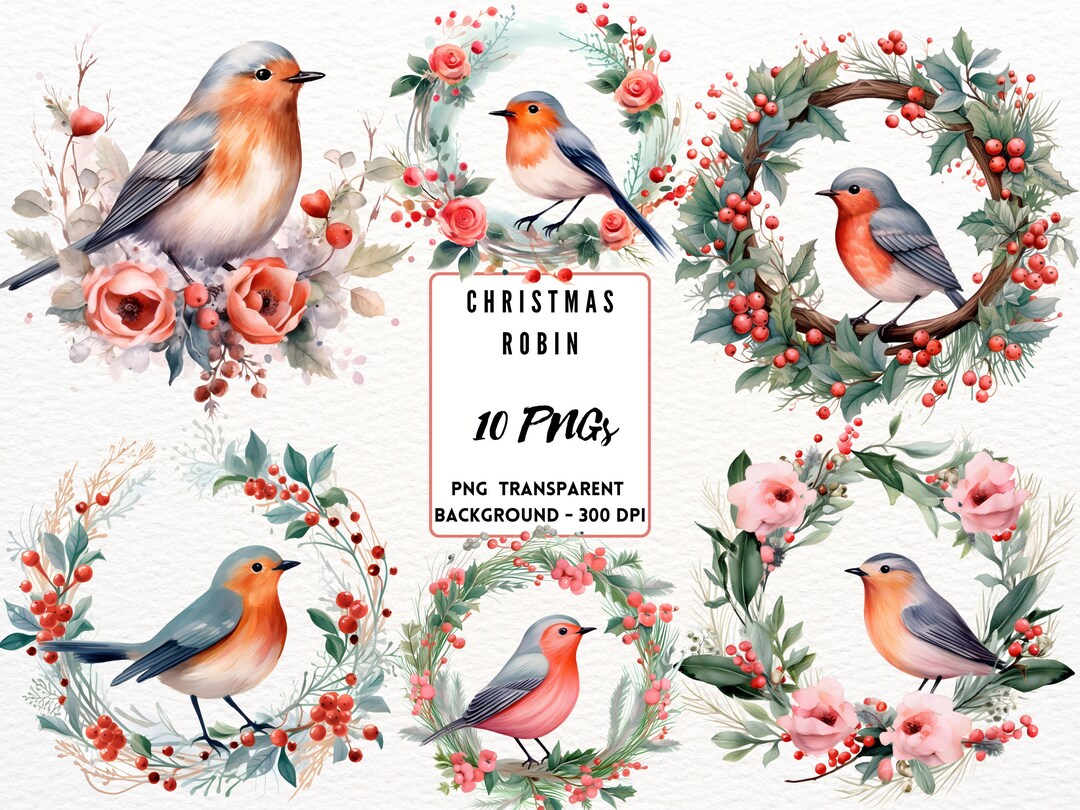 Robin Christmas, Robin PNG Clipart, Bird Robin, 10 High Quality Clipart ...