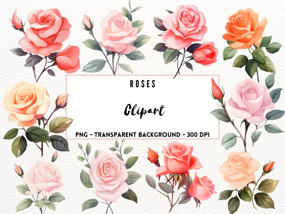 Roses Clipart Pastel Roses Clipart Watercolor Roses Clipart Valentines ...