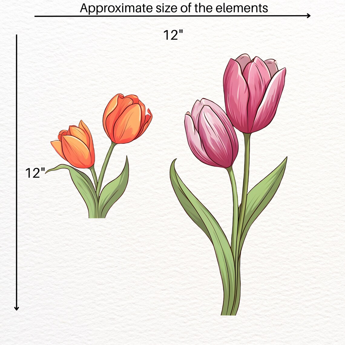 Tulips Flowers Clipart Set Colorful Floral Clipart Sublimation Flowers ...