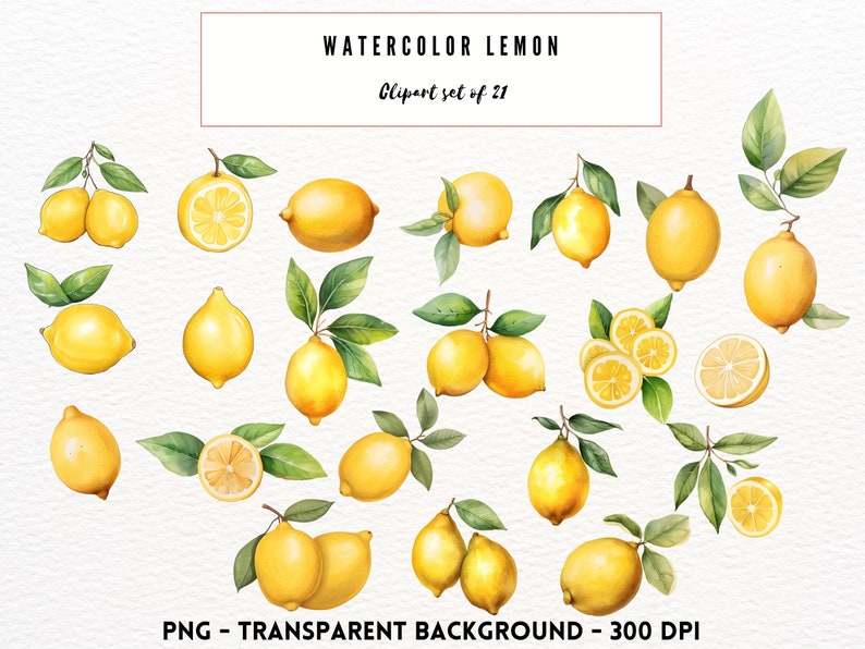 Lemon Clipart Watercolor Lemon Clipart PNG Lemon Clipart Bundle Lemon ...
