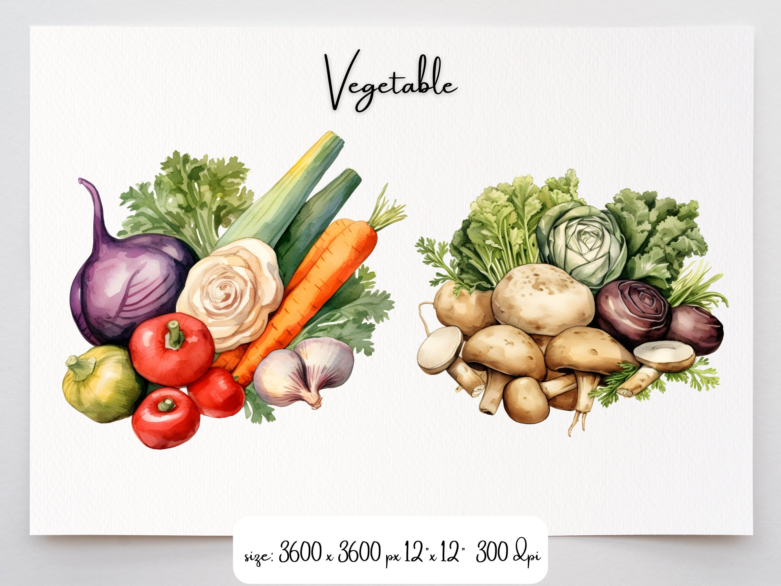Garden Vegetables PNG Bundle, Vegetables Clipart, Nature PNG Farm ...