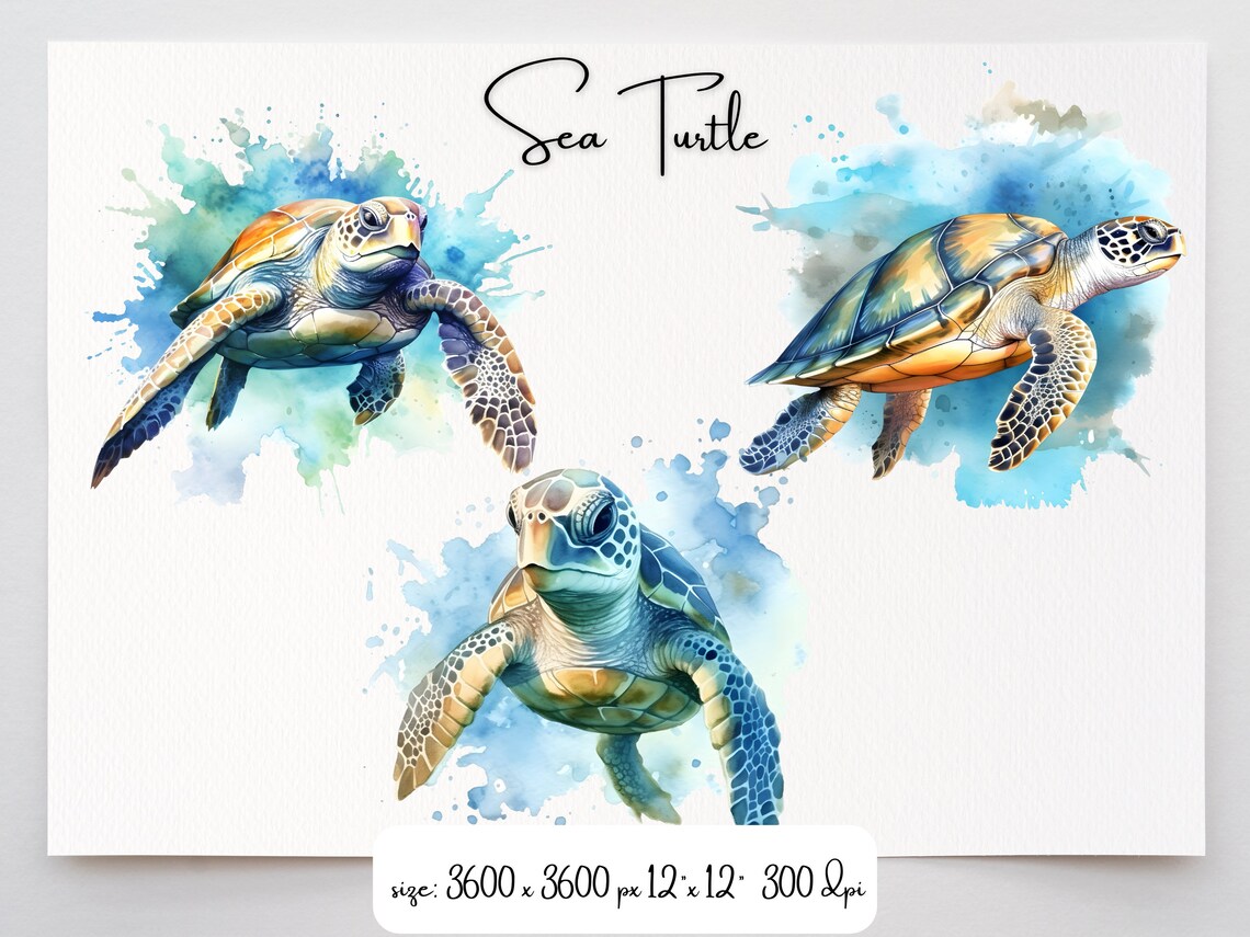 Sea Turtle Clipart, Turtle Png Bundle, Colorful Turtle, Digital ...