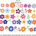 Flowers Clipart Set Colorful Floral Clipart Sublimation Flowers PNG ...