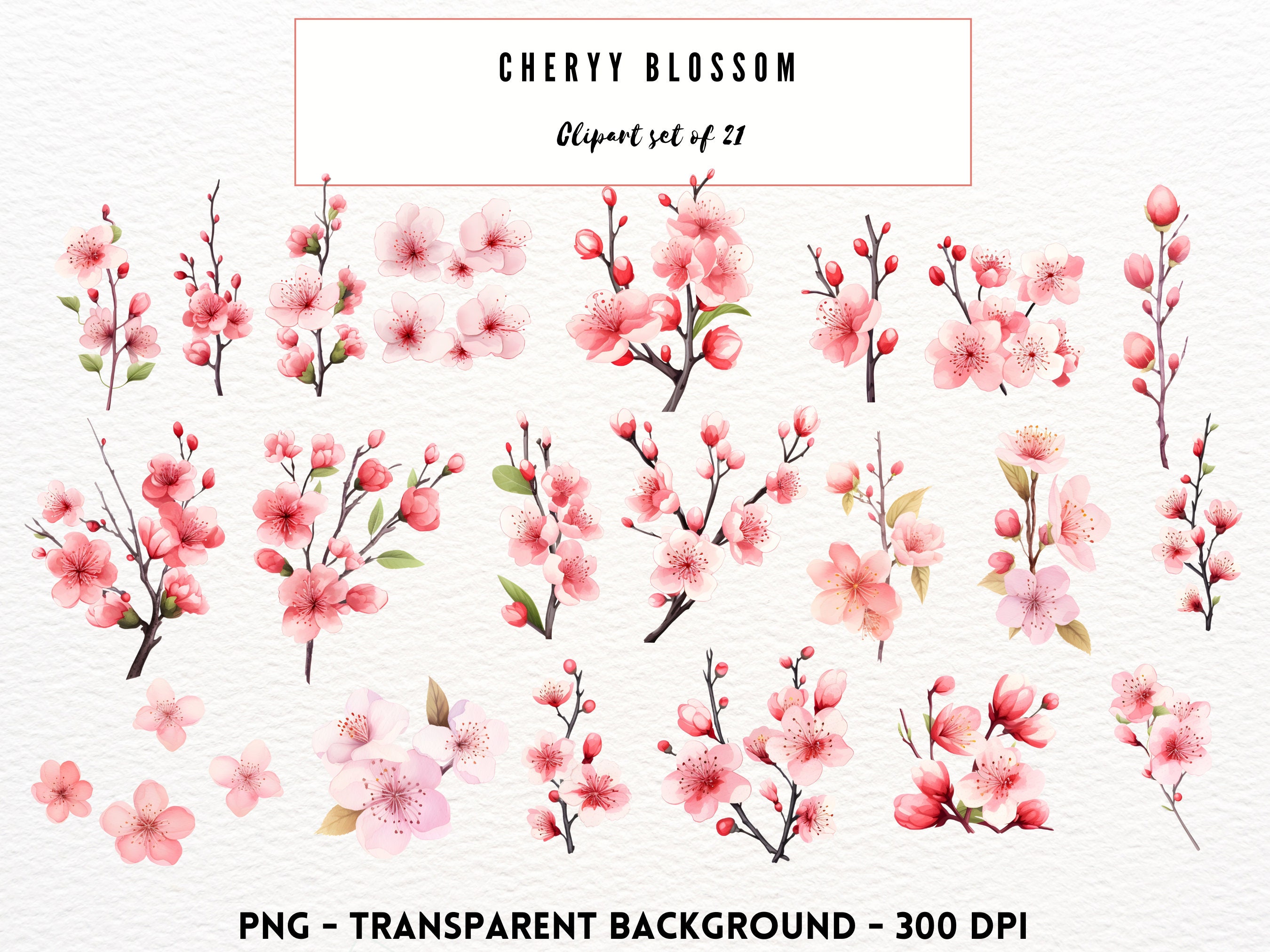 Floral Clipart Cherry Blossom Bouquet Watercolor Cherry Blossom PNG ...