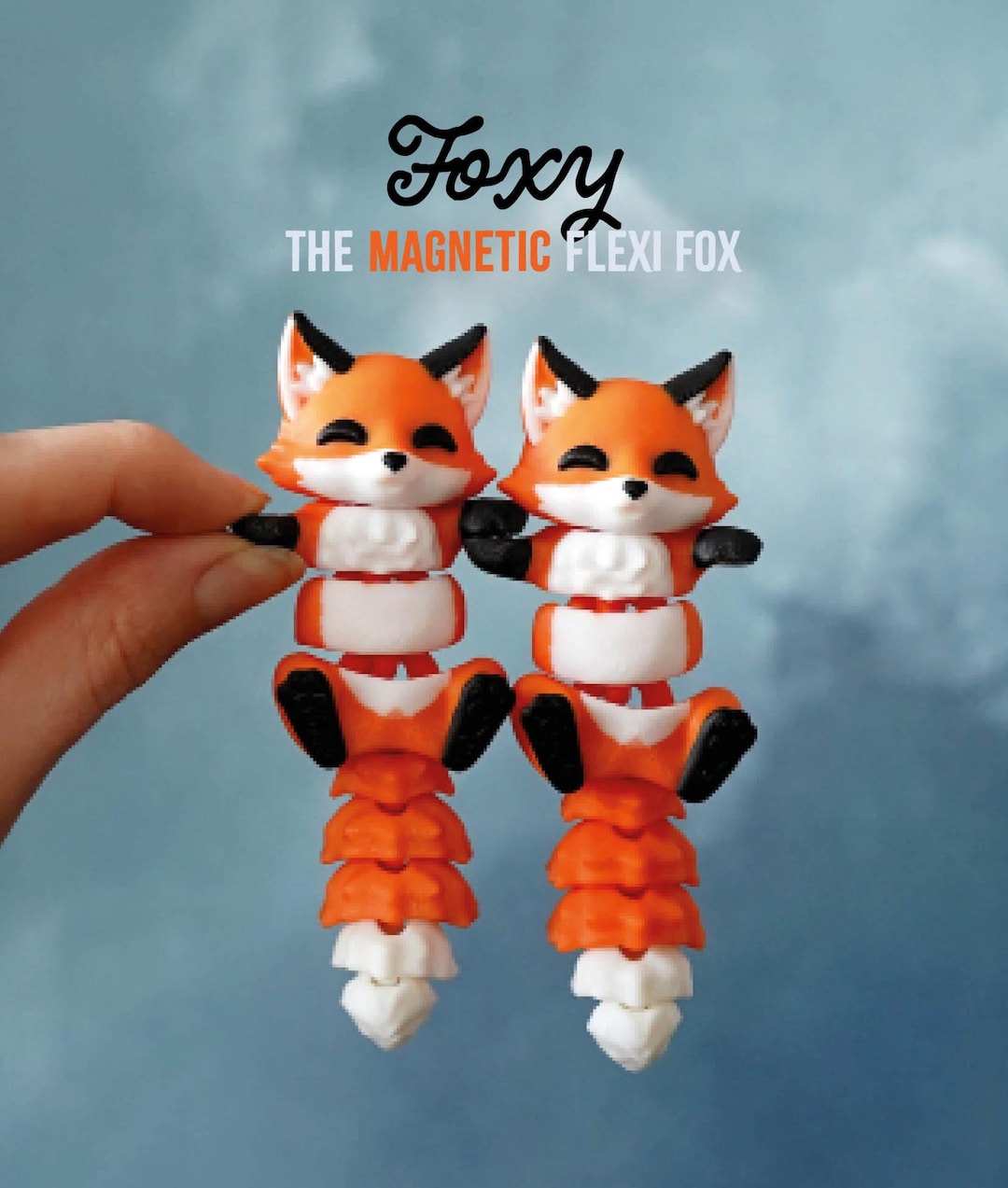 Flexi Fox Set of 2 | With Key Chain, or Without | Customizable ...