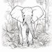 Animals Activity Coloring Sheet | 9 Printable Coloring Pages | Digital ...