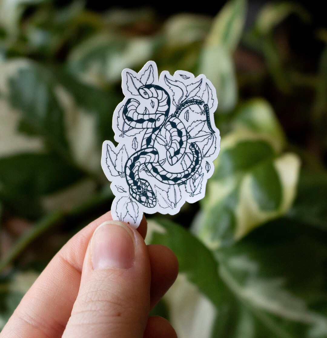 Snake Sticker Matte Snake Illustration - Etsy