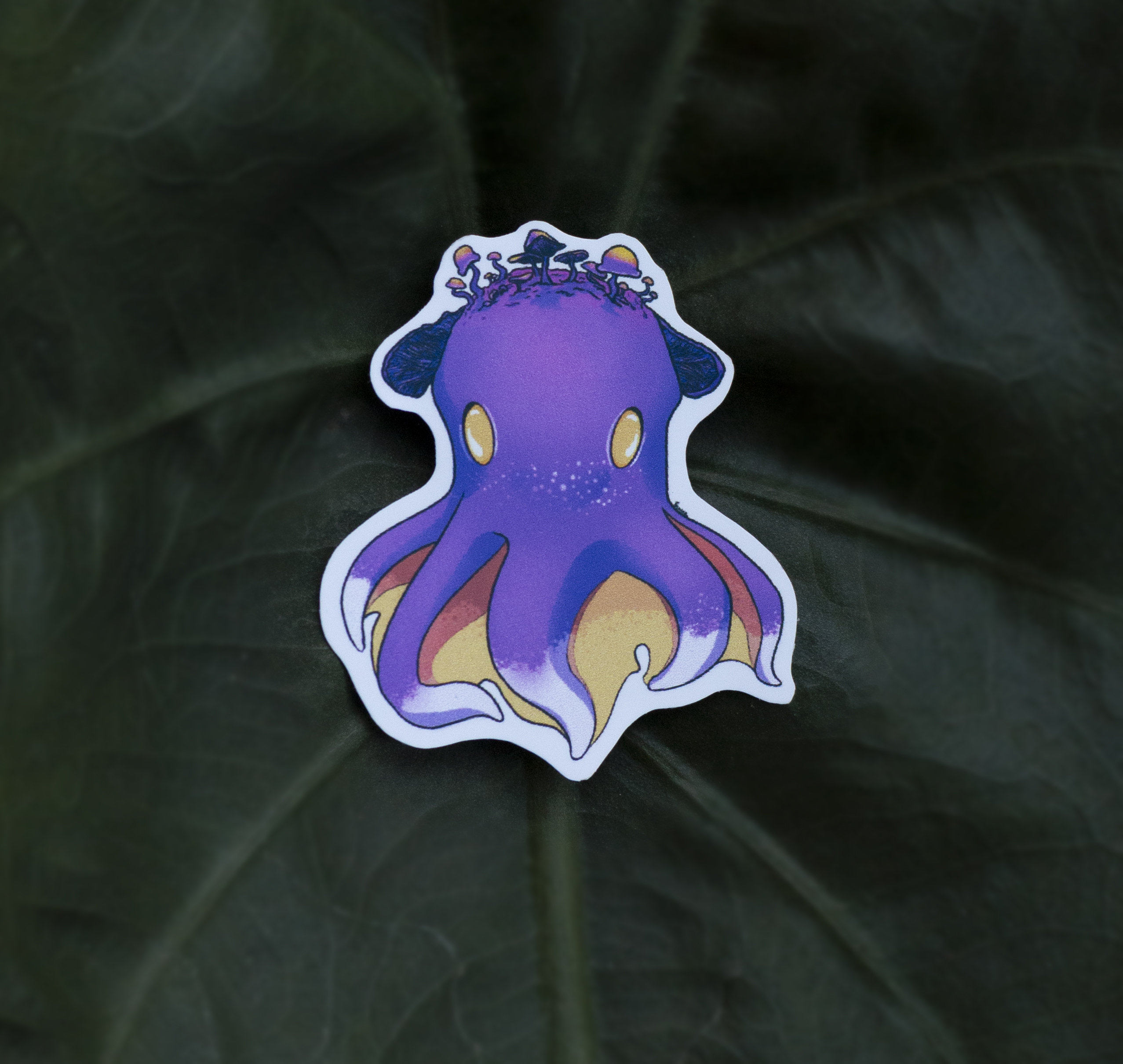 Dumbo Octopus Matte Funguary - Etsy