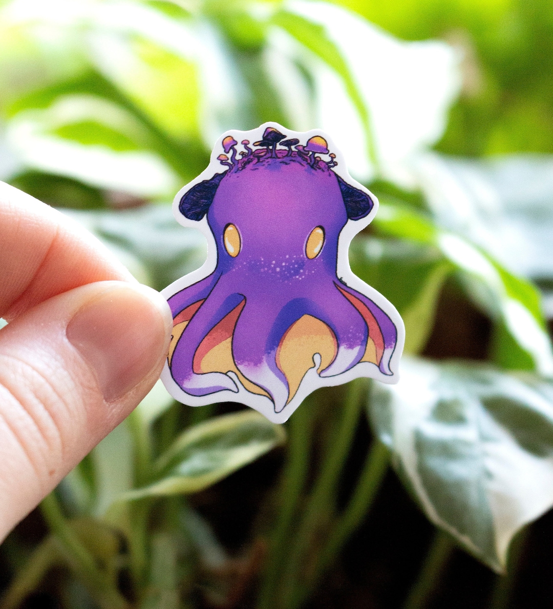Dumbo Octopus || Matte || Funguary - Etsy