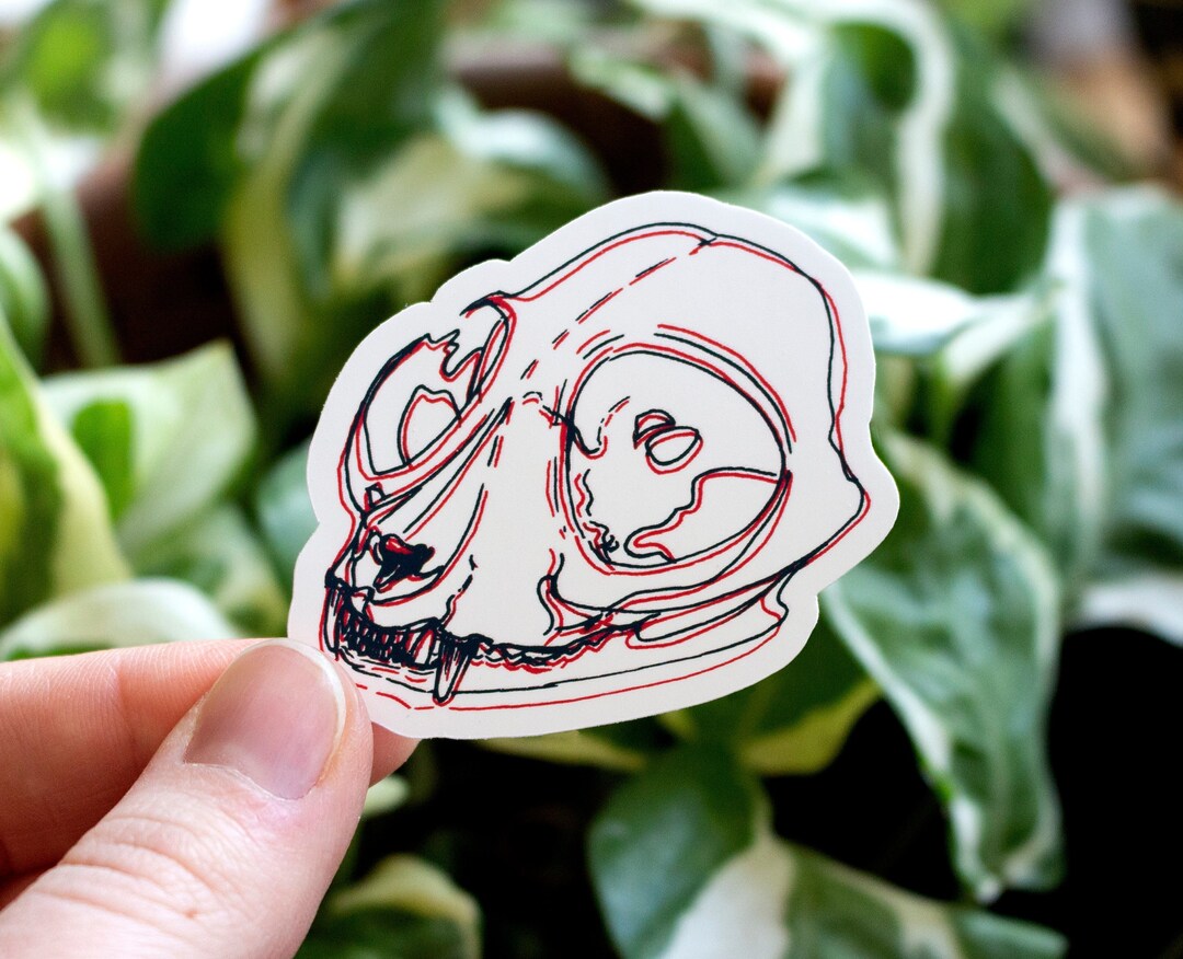 Cat Skull Sticker Matte - Etsy