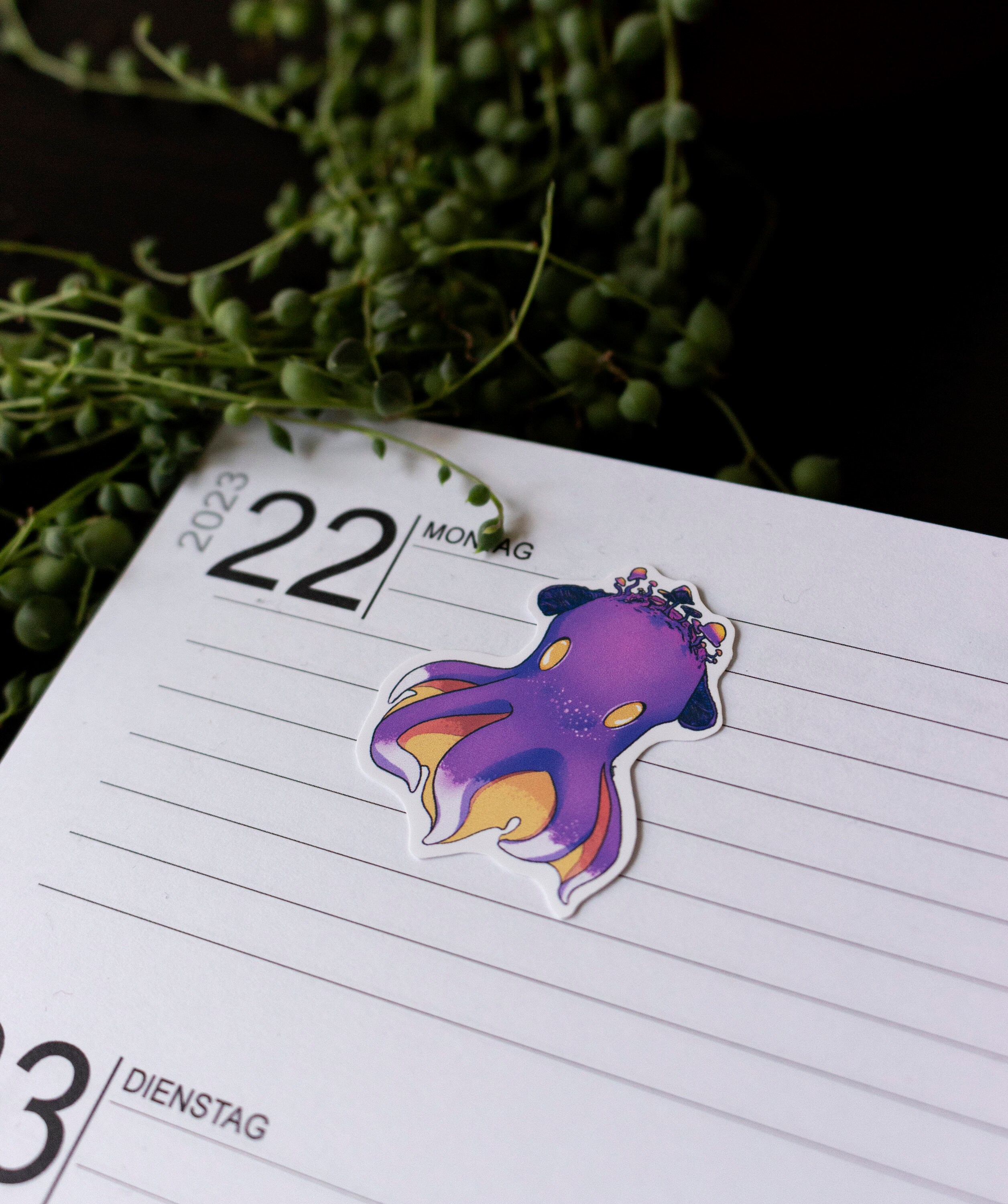 Dumbo Octopus Matte Funguary - Etsy