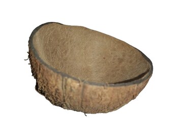 Coconut Half Shell - Etsy