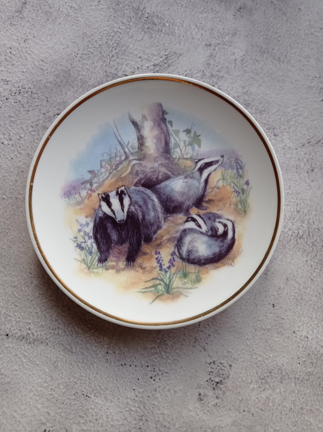 Wildlife Badgers Porcelain Collection Plate - Etsy