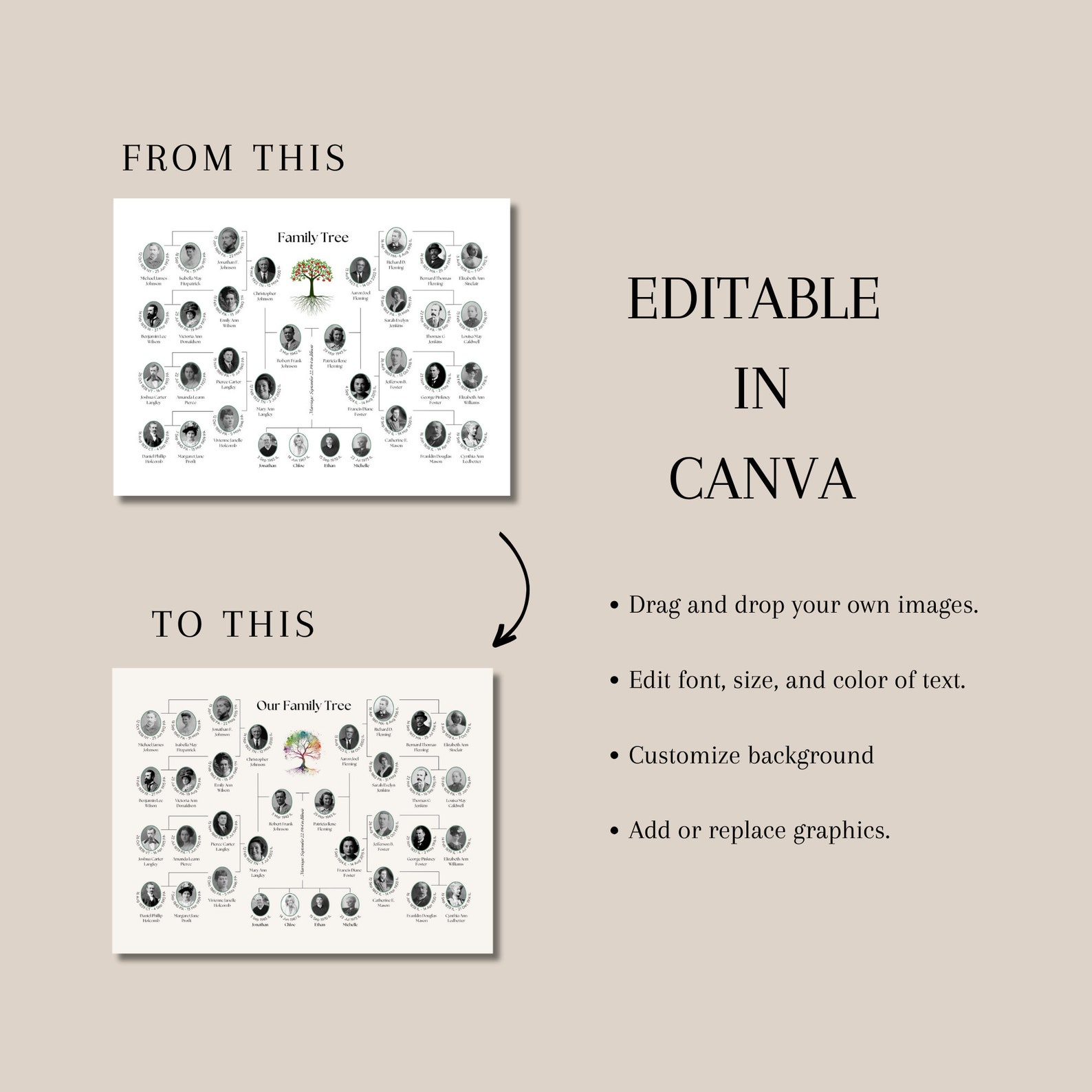 Family Tree Canva Template 16 X 12 DIY Genealogy Wall Art Family ...