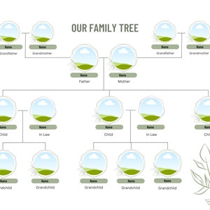4 Generation Family Tree and Descendant Chart / Customizable - Etsy