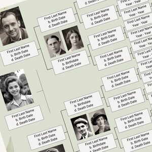Customizable 7-generation Family Tree / Family History / Editable Canva ...