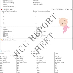 NICU Nurse Report Sheet - Etsy