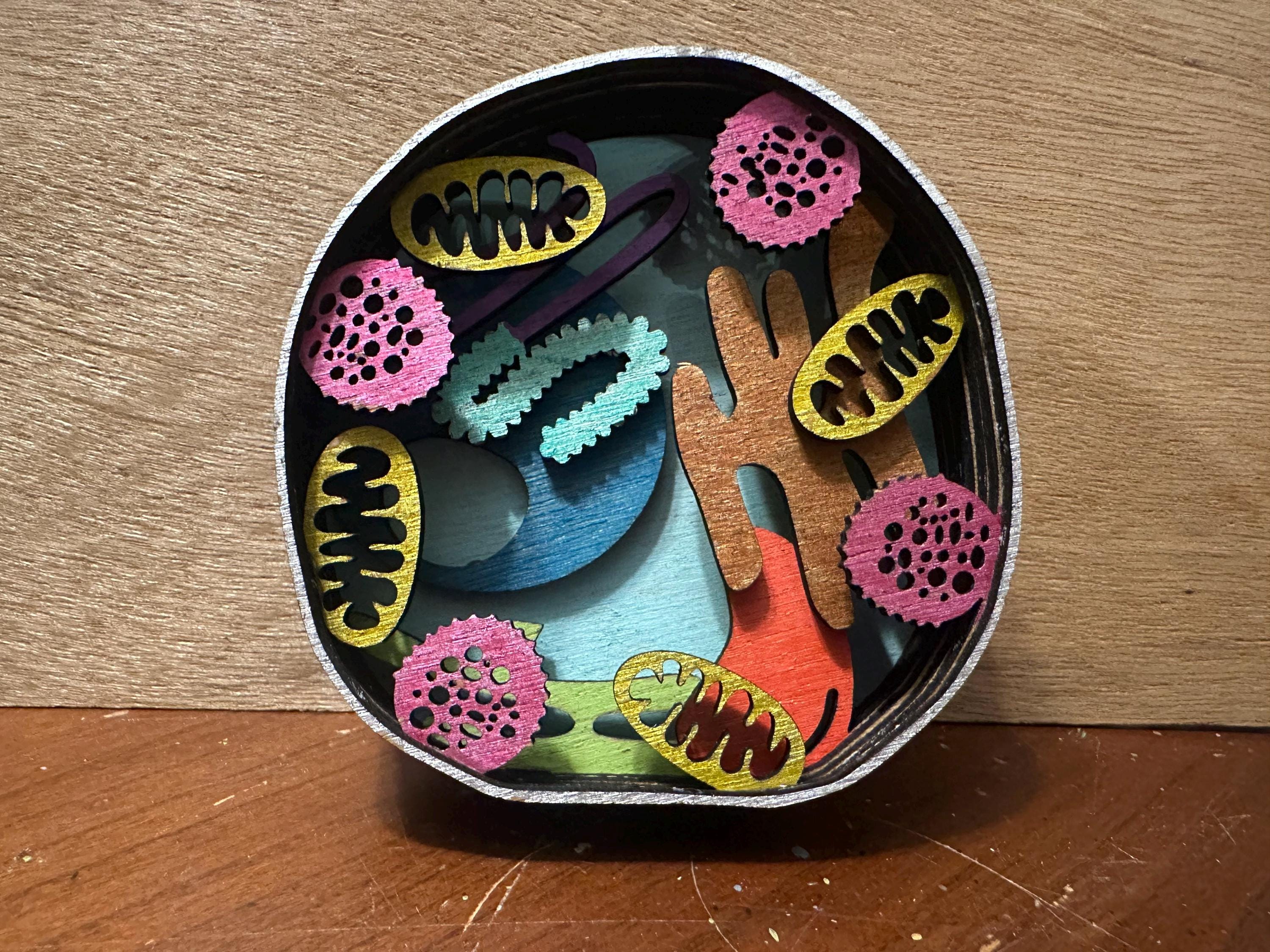 Laser Cut Files: Plant & Animal Cells + Microscopic Designs | PNG, SVG and Lightburn Files - Etsy