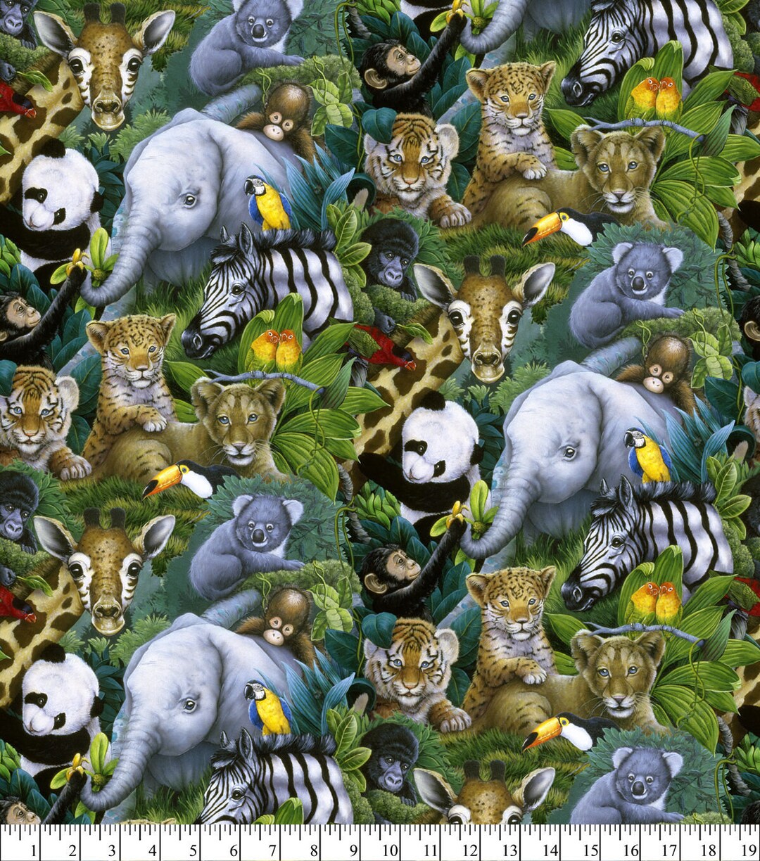 Animal Kingdom Elephants Pandas Zebras Tigers Monkeys Koalas Giraffe ...