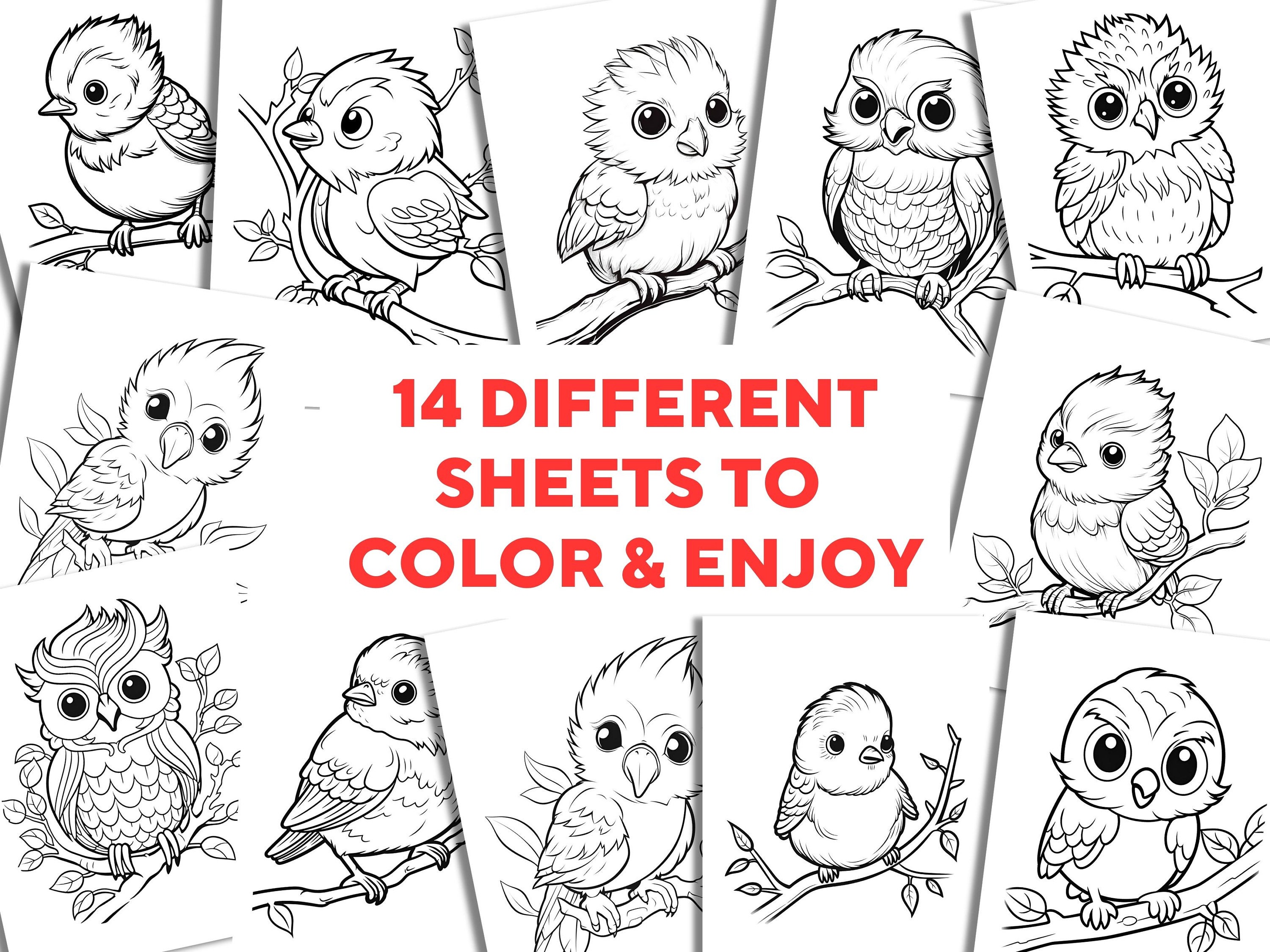 Grumpy Birds Kids Coloring Pages Printable Coloring Book Bird Birthday ...