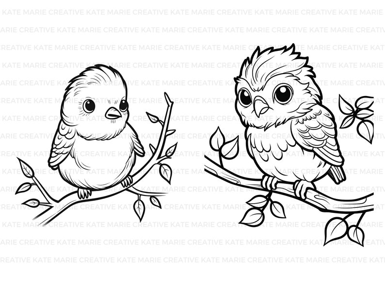 Grumpy Birds Kids Coloring Pages Printable Coloring Book Bird Birthday ...