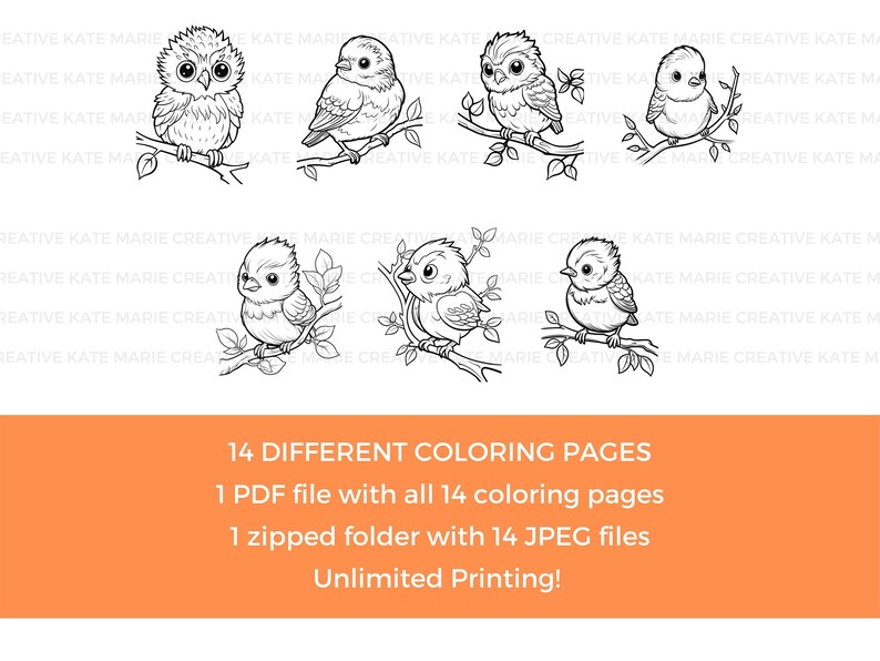 Grumpy Birds Kids Coloring Pages Printable Coloring Book Bird Birthday ...