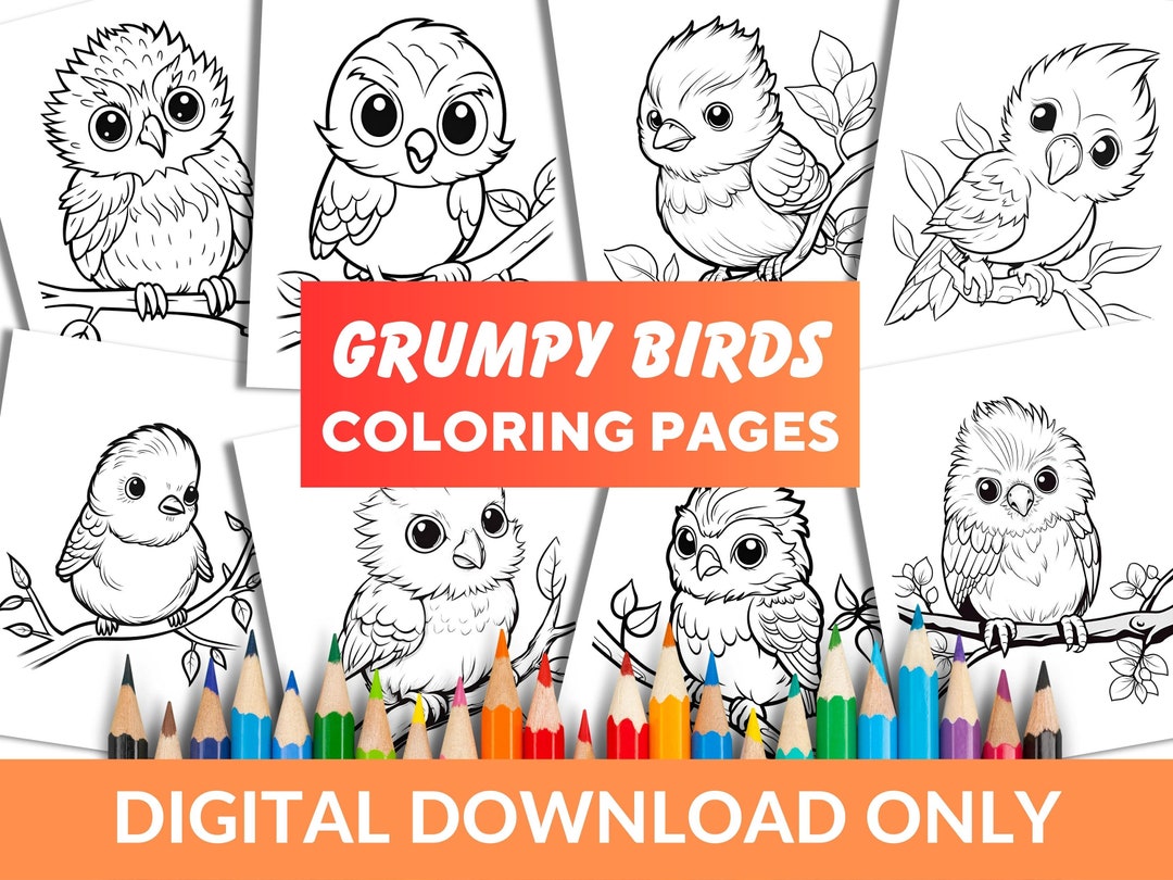 Grumpy Birds Kids Coloring Pages Printable Coloring Book Bird Birthday ...