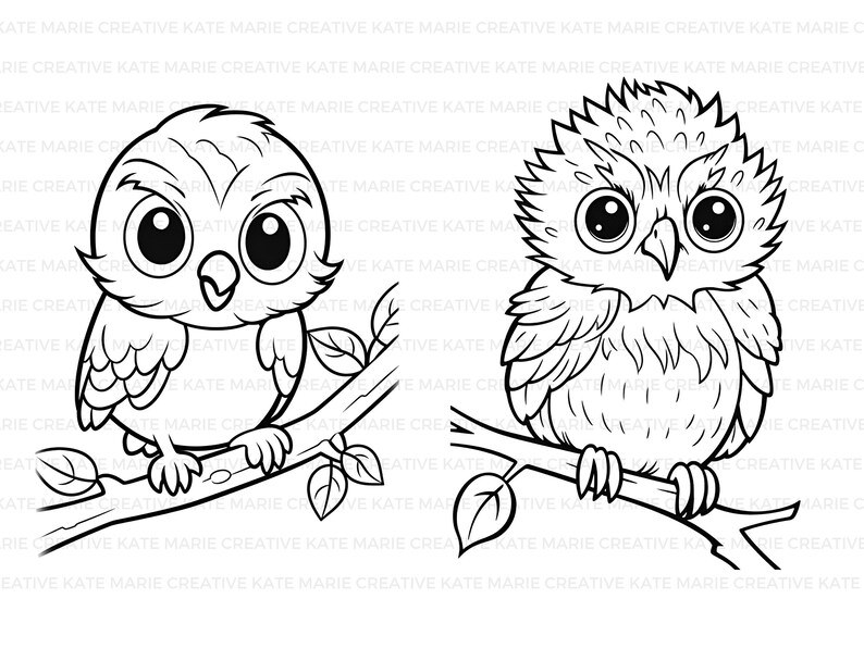 Grumpy Birds Kids Coloring Pages Printable Coloring Book Bird Birthday ...