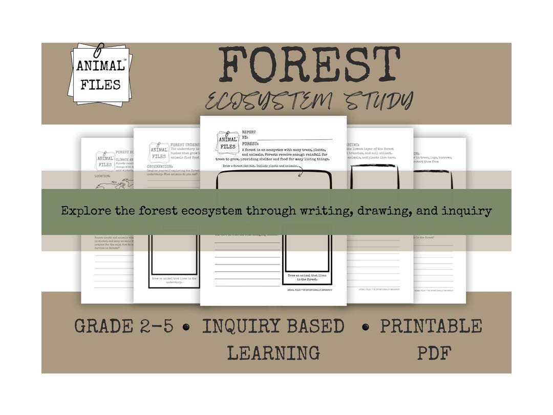 Forest Ecosystem Study Worksheet PDF, Homeschool Science Unit, Grades 2 ...