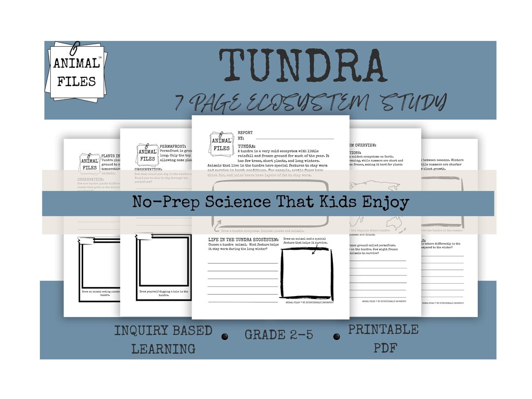 Tundra Ecosystem Study Printable, No Prep Science Unit, Grades 2–5 - Etsy