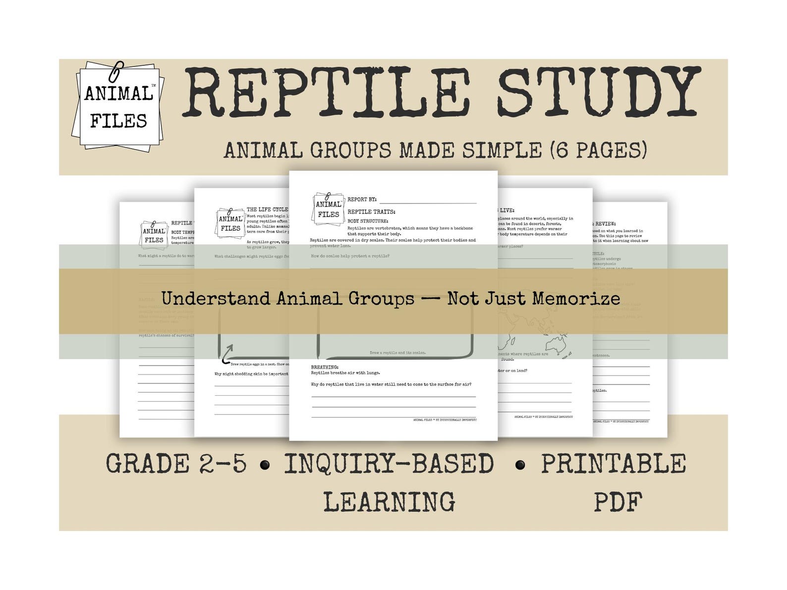 Reptile Animal Group Study Printable | Homeschool Science Worksheet ...