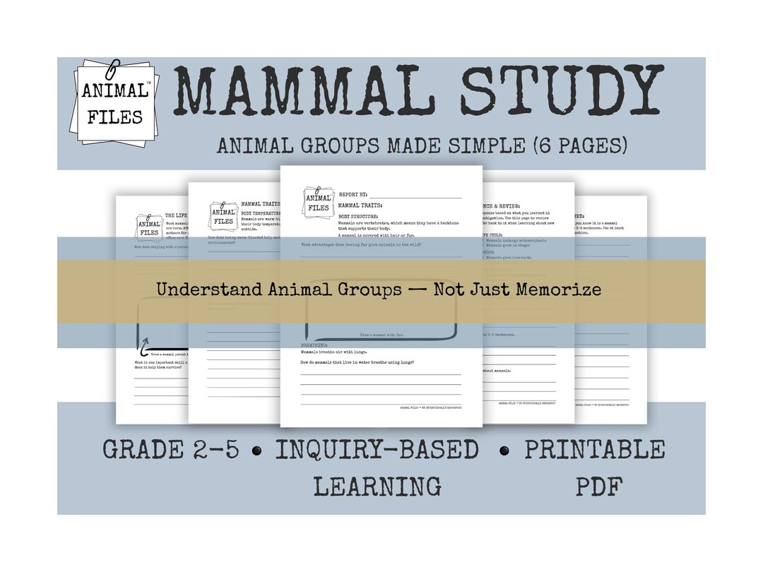 Mammal Animal Group Study Printable | Homeschool Science Worksheet ...
