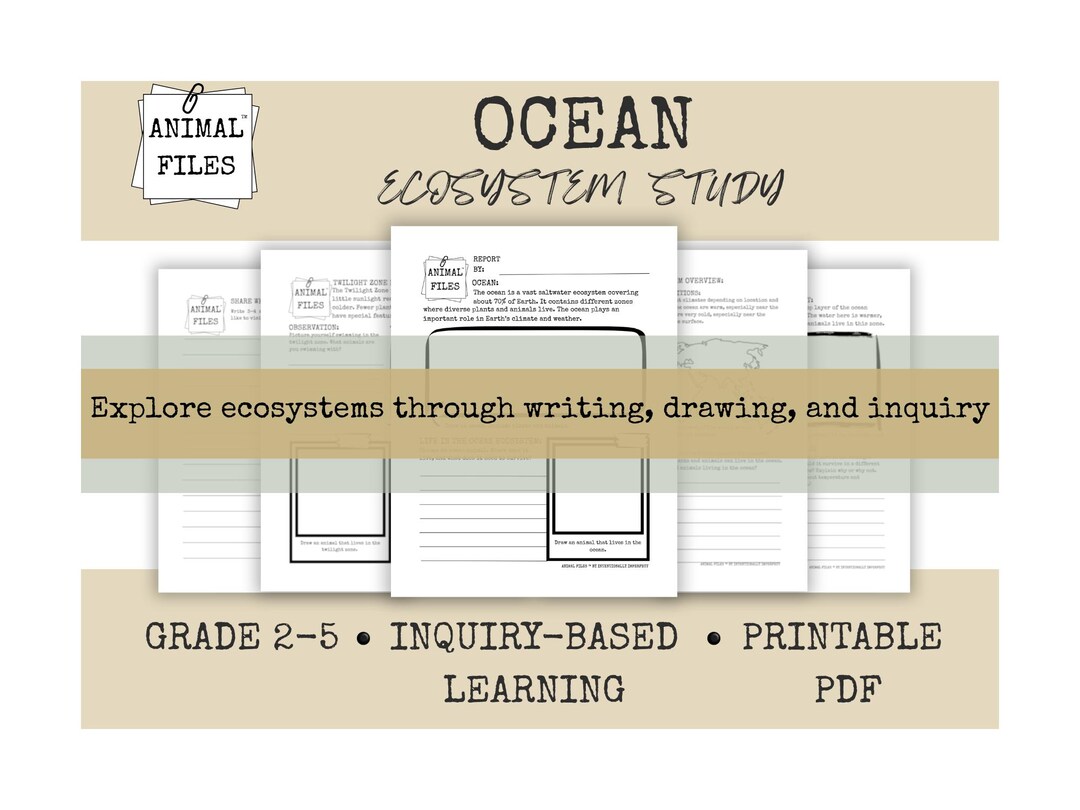 Ocean Ecosystem Study Printable | Marine Biology Inquiry Learning ...