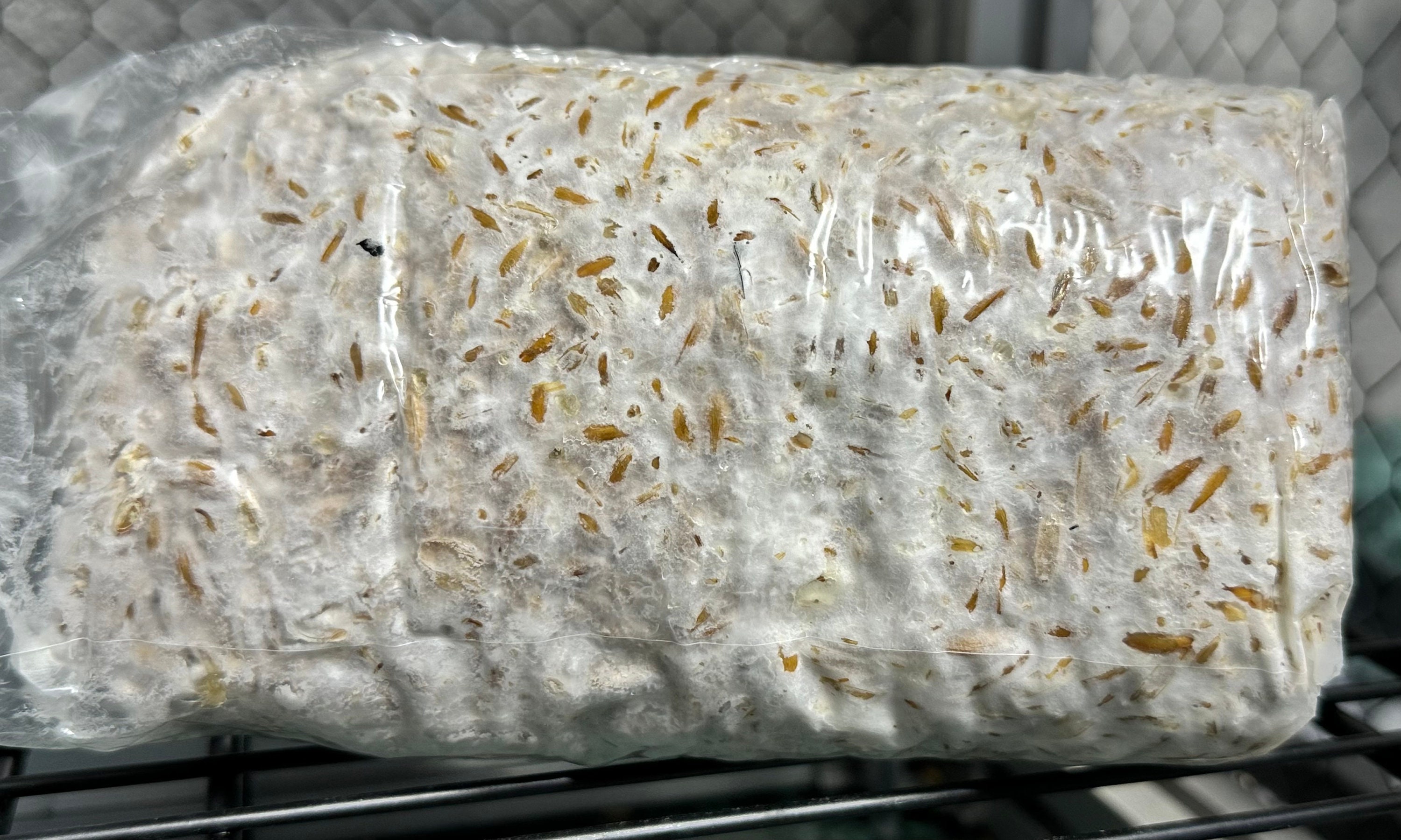 Where To Store Inoculated Grain Bags at Maddison Joyce blog