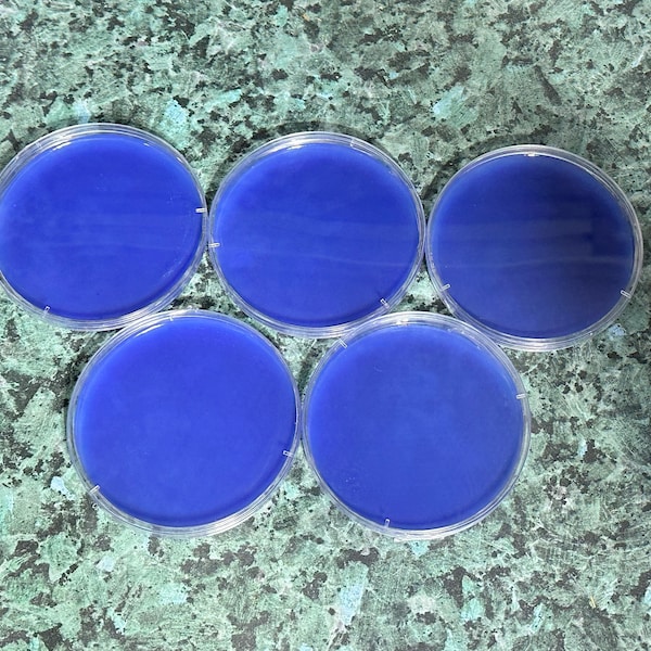 Pre Poured Sterile Agar Plates - Etsy