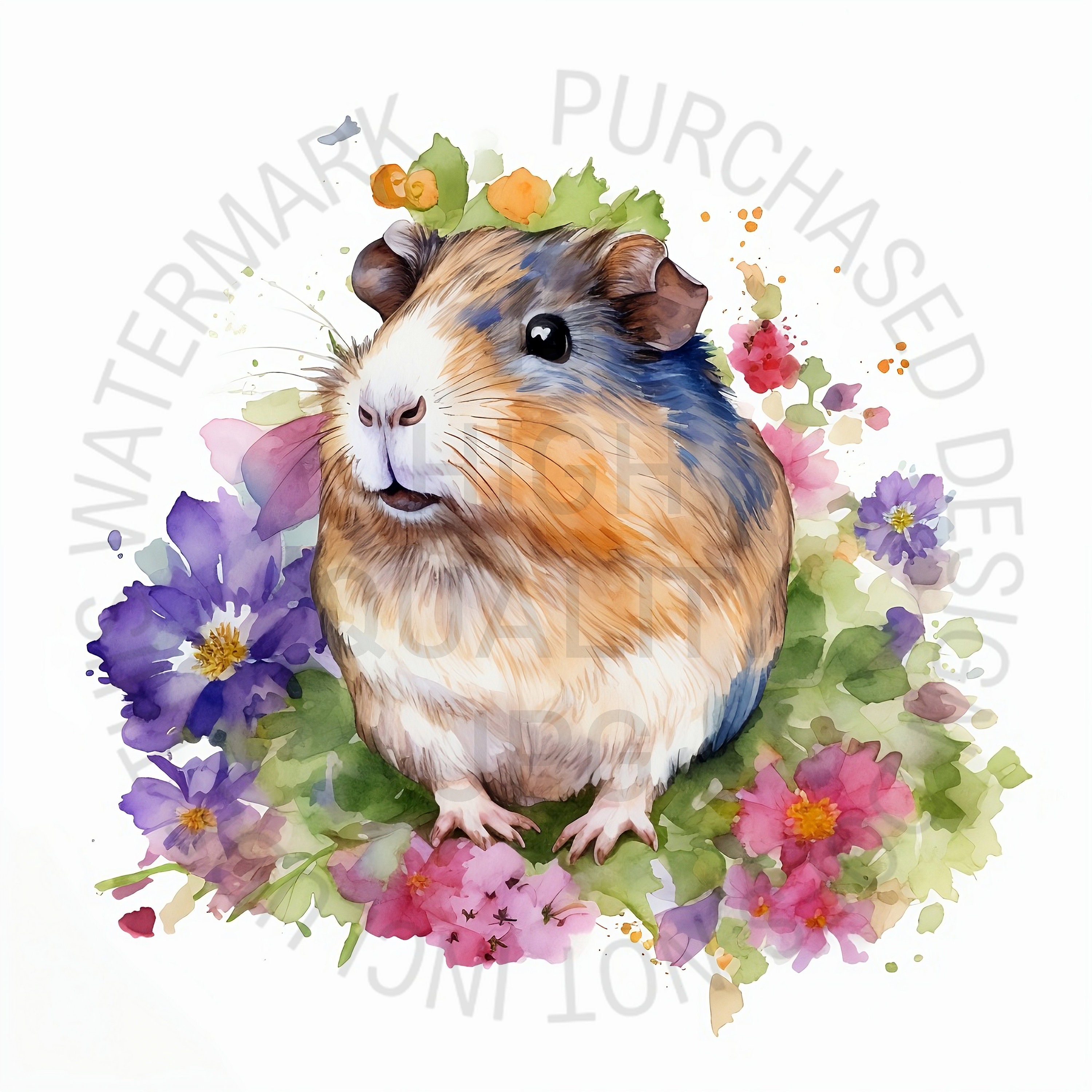 Floral Guinea Pig Clipart Bundle, 15 High Quality Jpgs, Rat Clipart ...